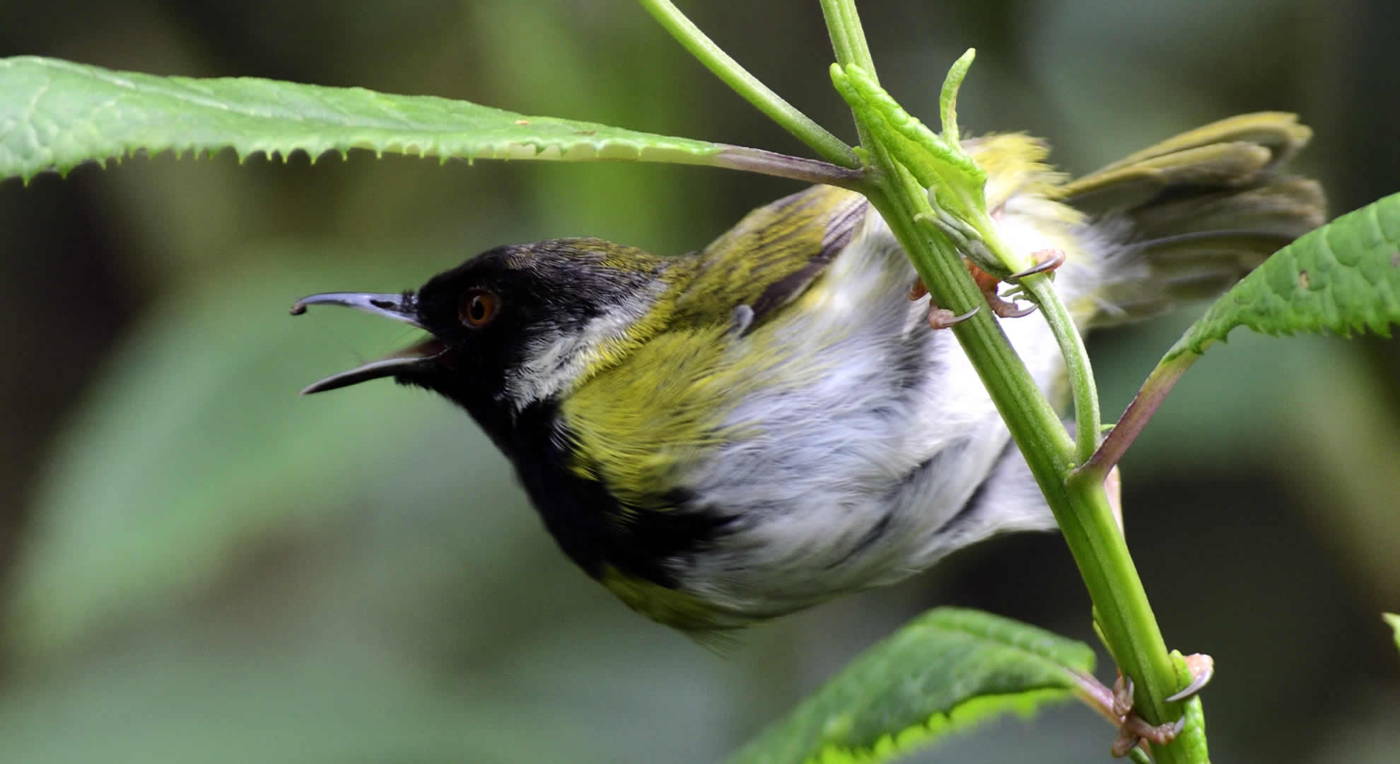 Excursions from Kigali | Sheengai Pride Safaris